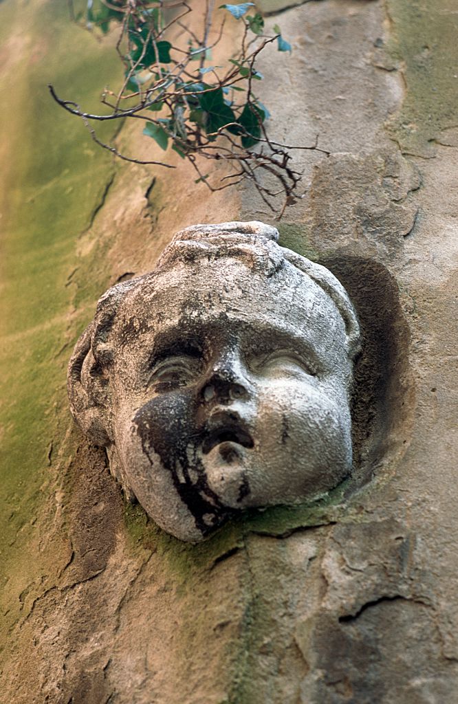 Beauty and belonging: Against the uglification of the world - ABC ...