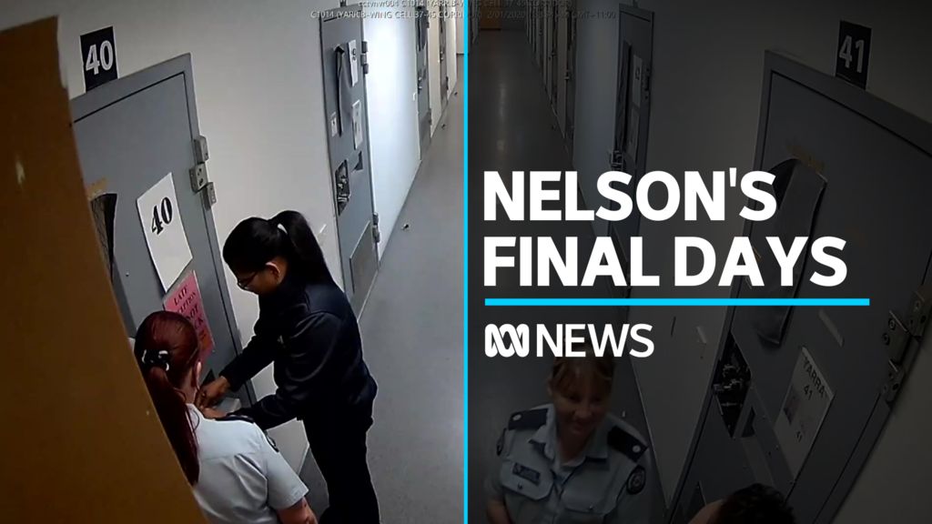 Evidence from Veronica Nelson's final days casts a bright light into ...