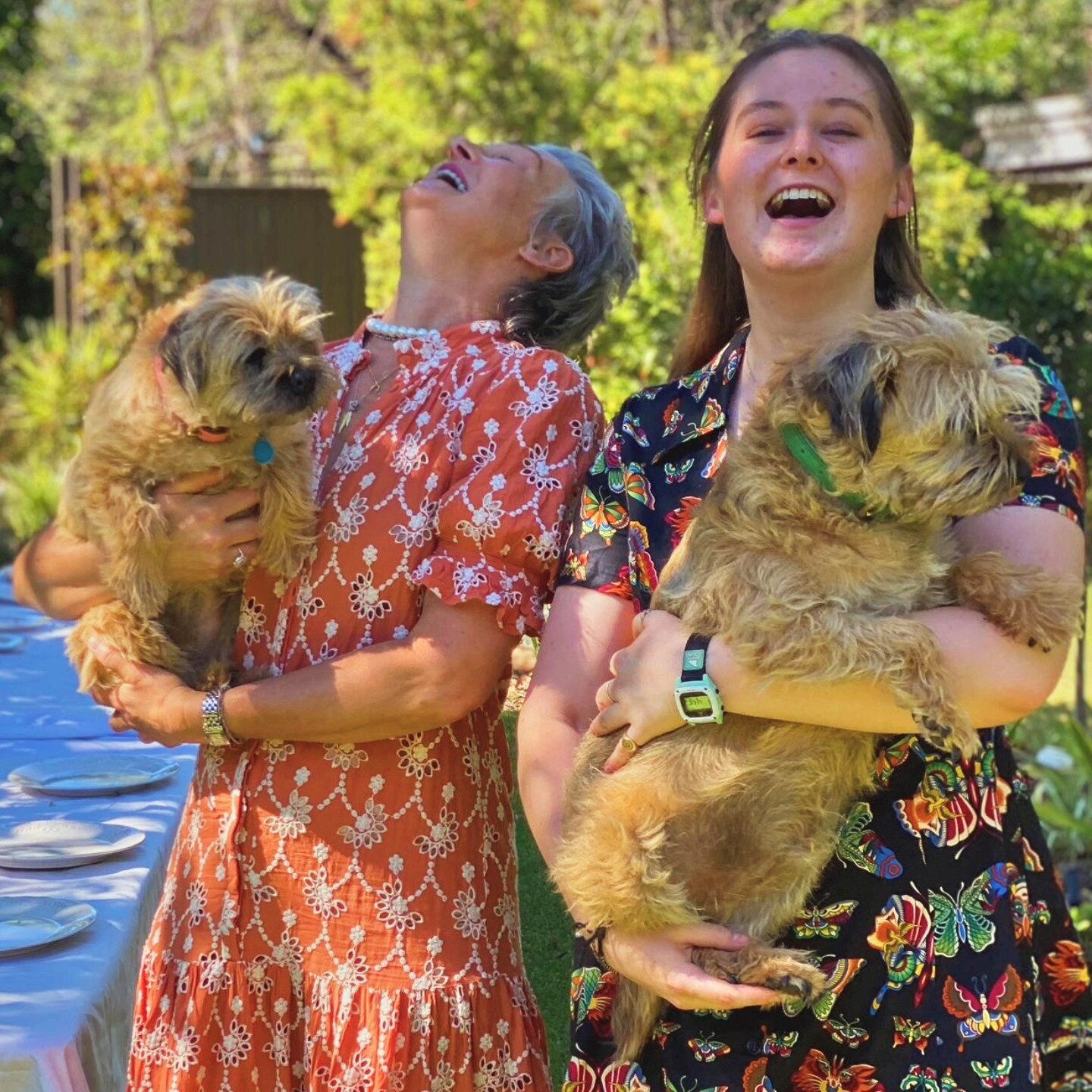 Adelaide dog collar & toy business started by 13-year-old girl exports ...