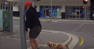 Angry pedestrian puts a smile on the face of more than 6 million people ...