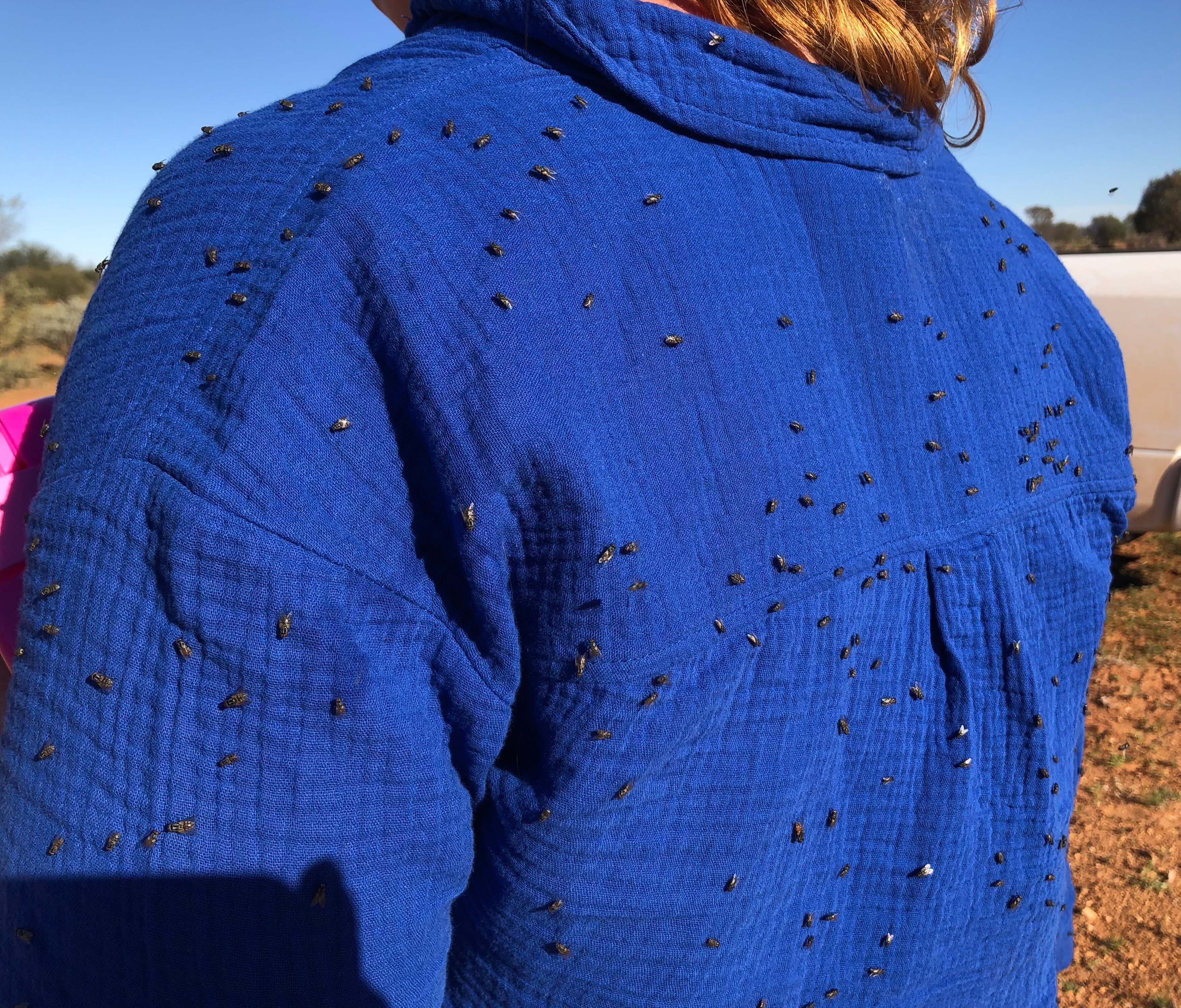 Late bush fly surge frustrates tourists and residents across Western ...