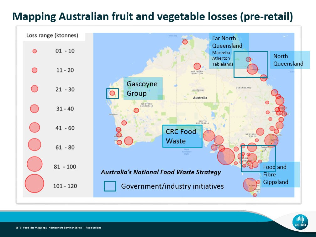 Cauliflower and broccoli pills: Turning vegetable waste into nutrient ...