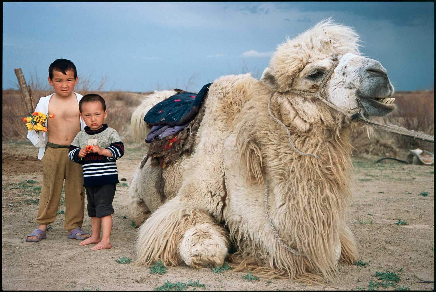 Tim Cope on the decline of nomadic life - ABC listen