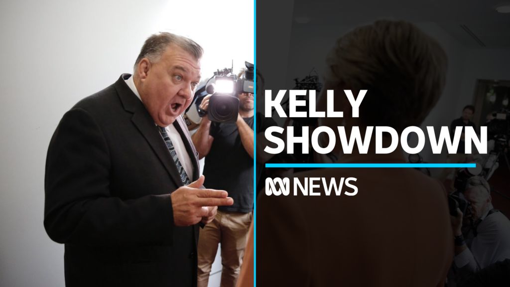 Craig Kelly under fire for COVID-19 misinformation - ABC News