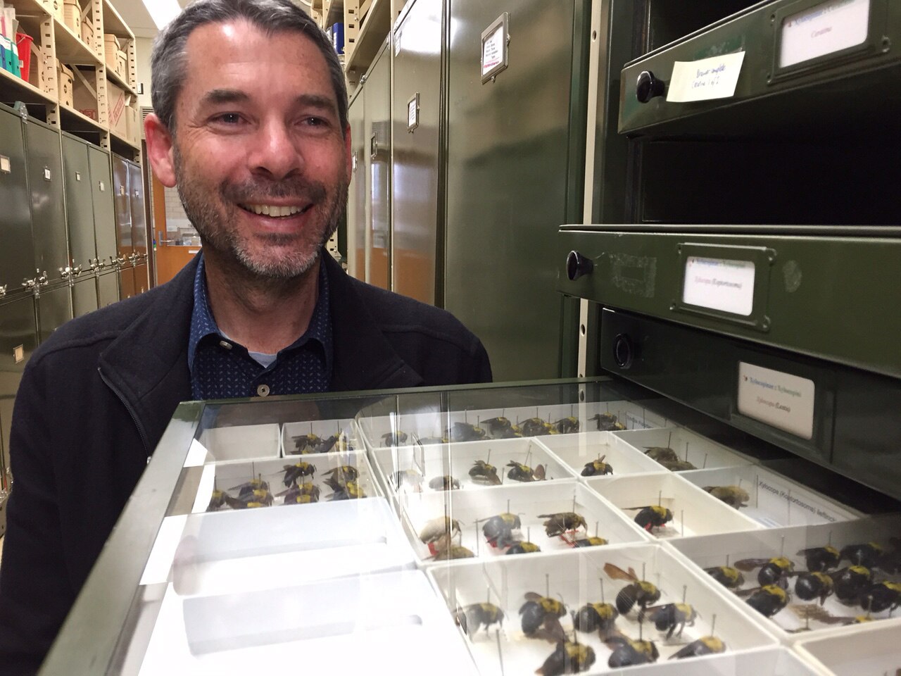 Australia leads a global extinction crisis, as UN meeting sets new ...