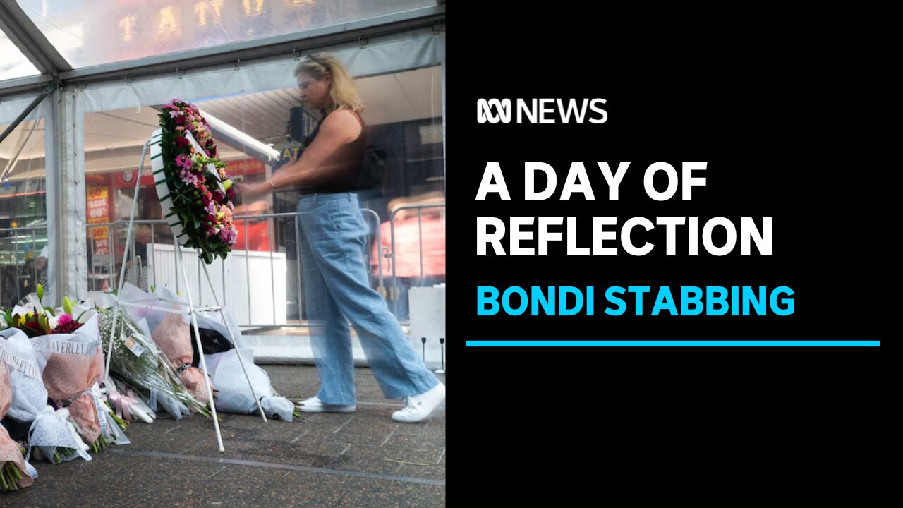 Stabbings - Topic - ABC News