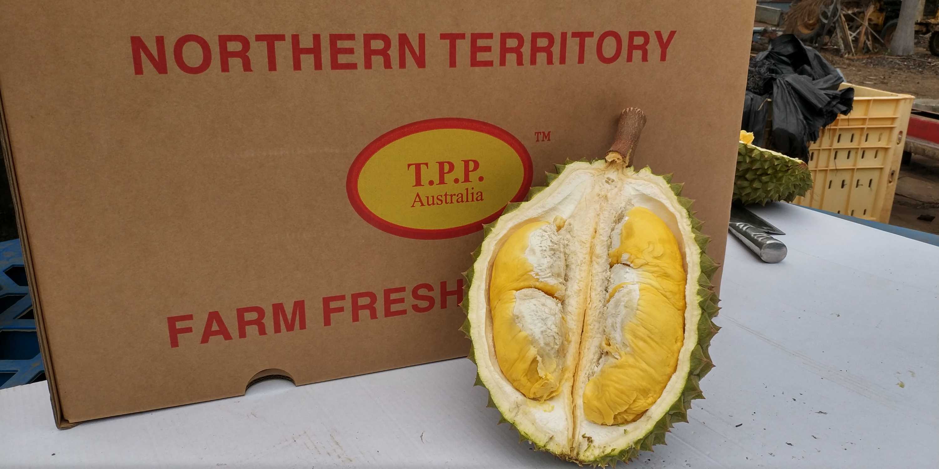 Durian party craze popping up in Australia. Can you smell it? - ABC News