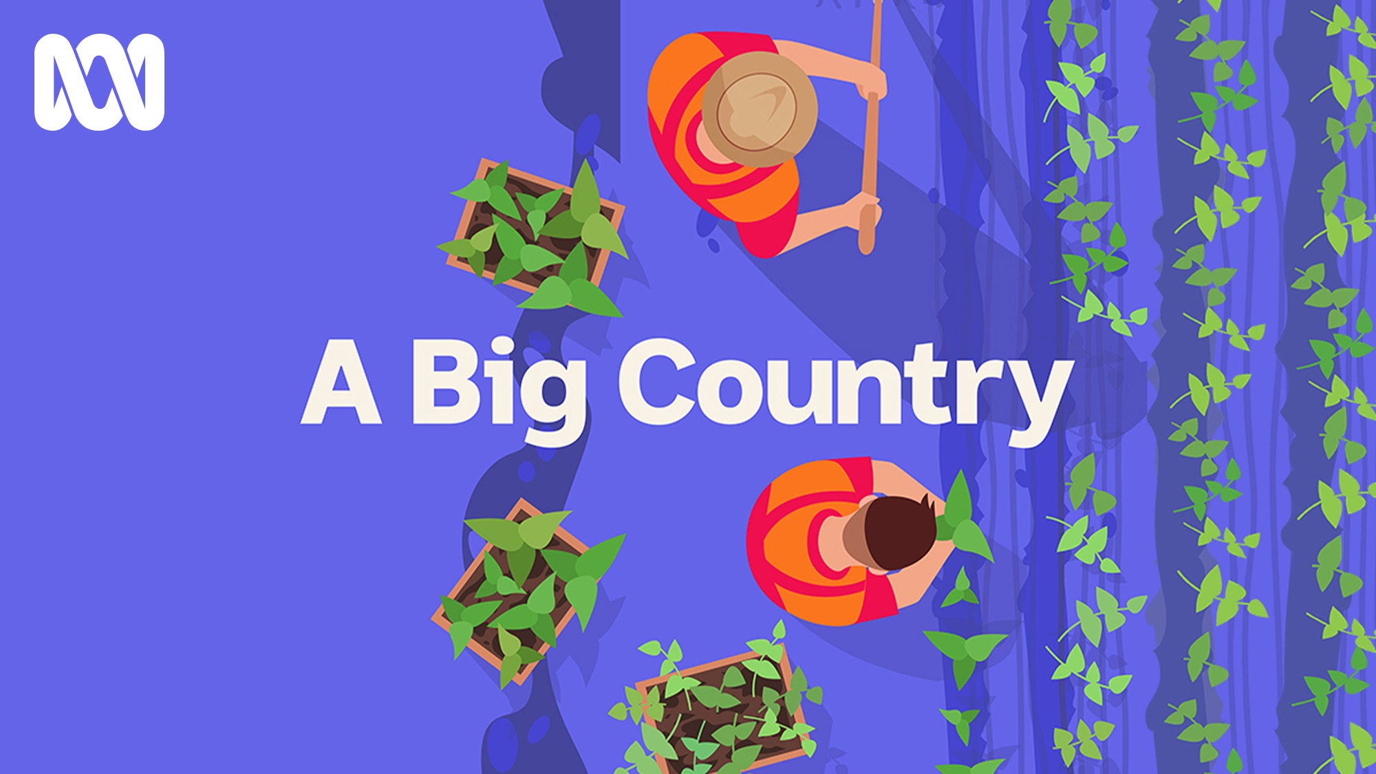 Programs - ABC Radio National