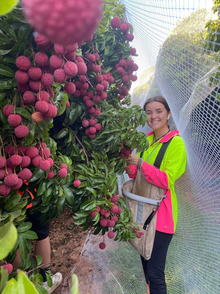 Bundaberg farmer employs almost 100 locals to ship Australia's first ...