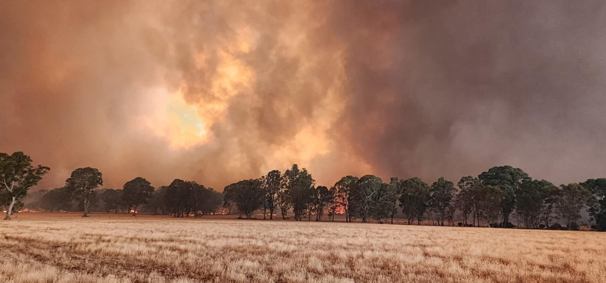 Victorian bushfire evacuees buoyed by community kindness amid Grampians ...