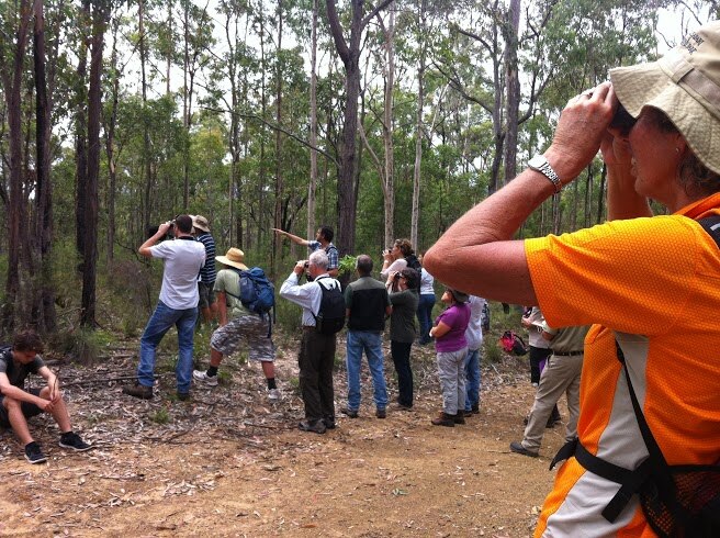How 600,000 citizen scientists helped calculate that Earth is home to ...