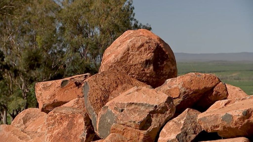 Farming Rocks: The former landscapers 'farming' rocks - ABC News