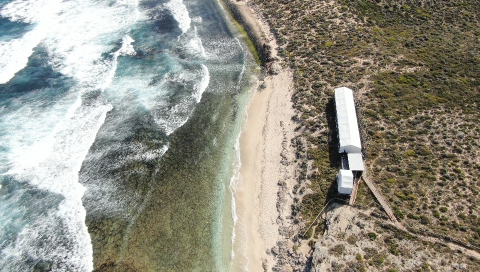 World Surfing League tour about to hit Rottnest Island but concerns ...