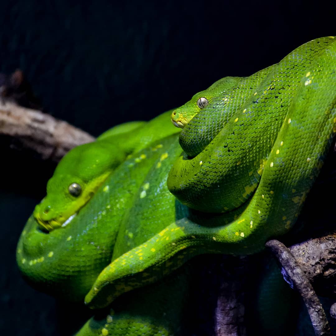 About Us - ABC Far North