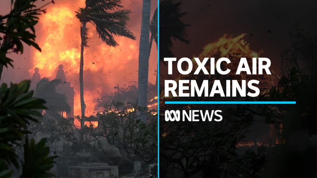 Wallabies denied Bledisloe win over controversial refereeing decision ...