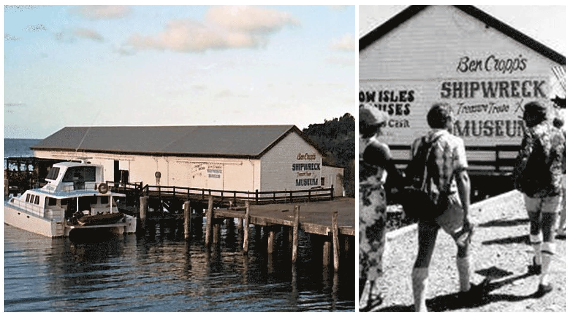 Ride on a 'monster' changed the life of underwater adventurer Ben Cropp ...