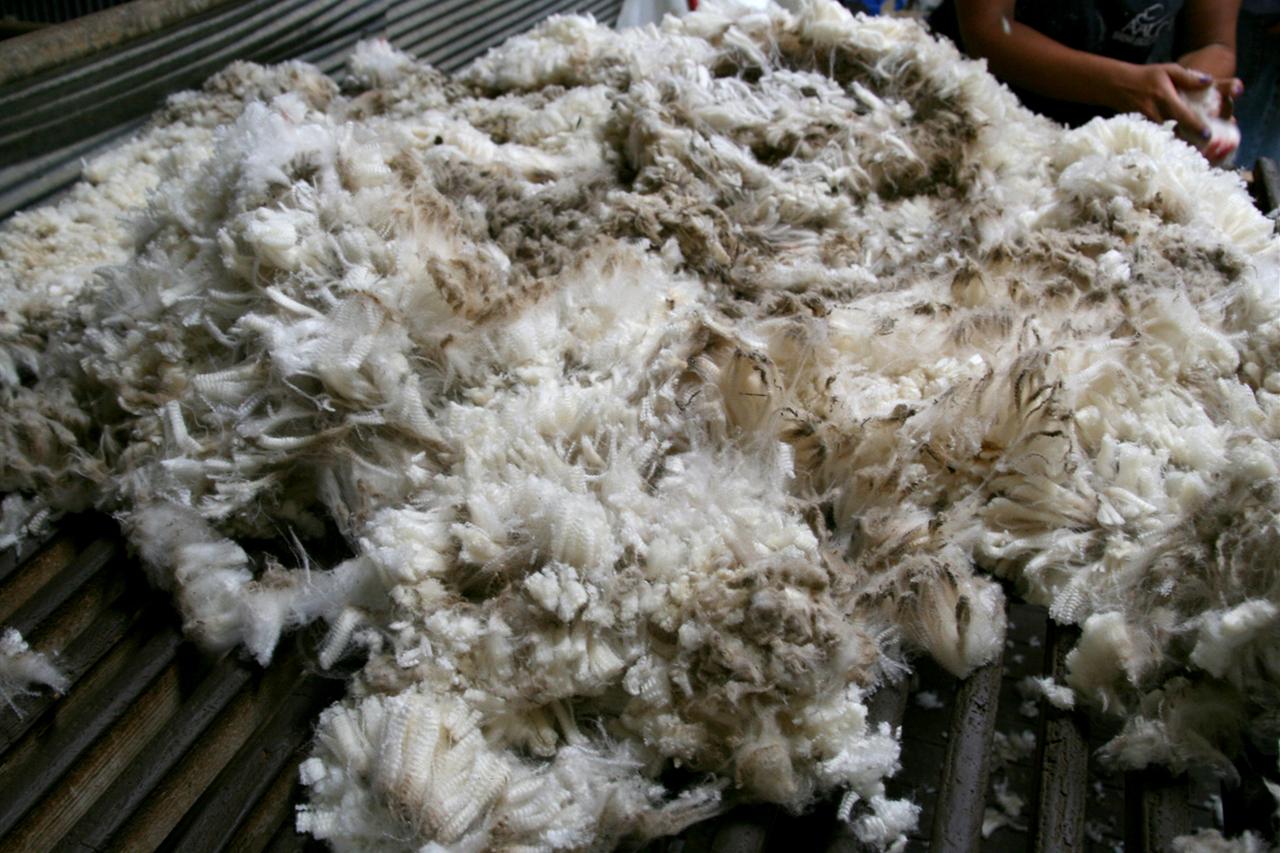 Wool prices soar to 20-year high - ABC News