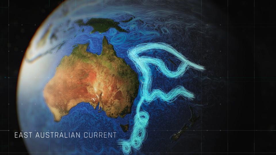 Australia's Ocean Odyssey, Ch 1: The blue heart of our planet - ABC ...
