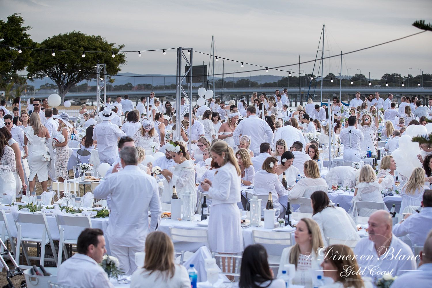 Dreaming of a white Christmas? It's the season for theme dressing - ABC ...