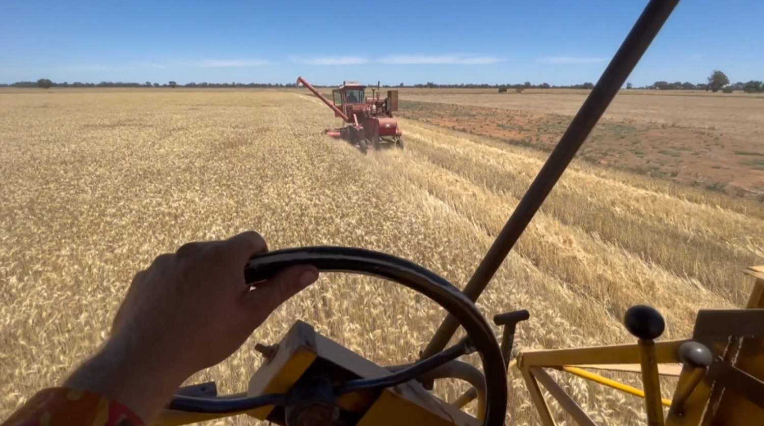 Australian vintage headers power on thanks to a young Victorian farmer ...