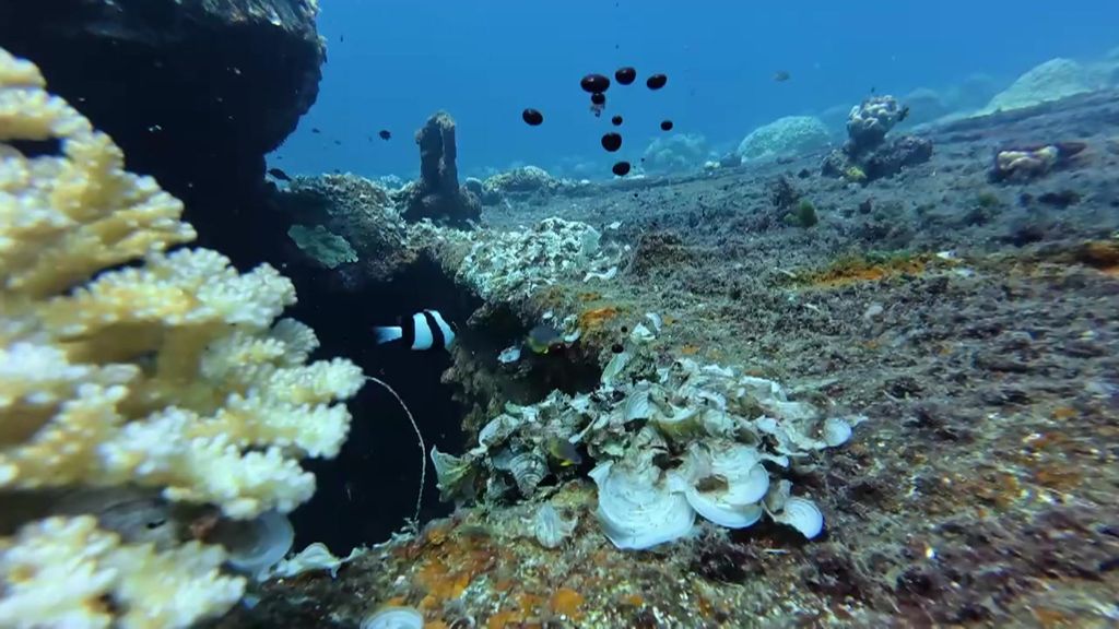 Marinus Link undersea power cable project explained - ABC News