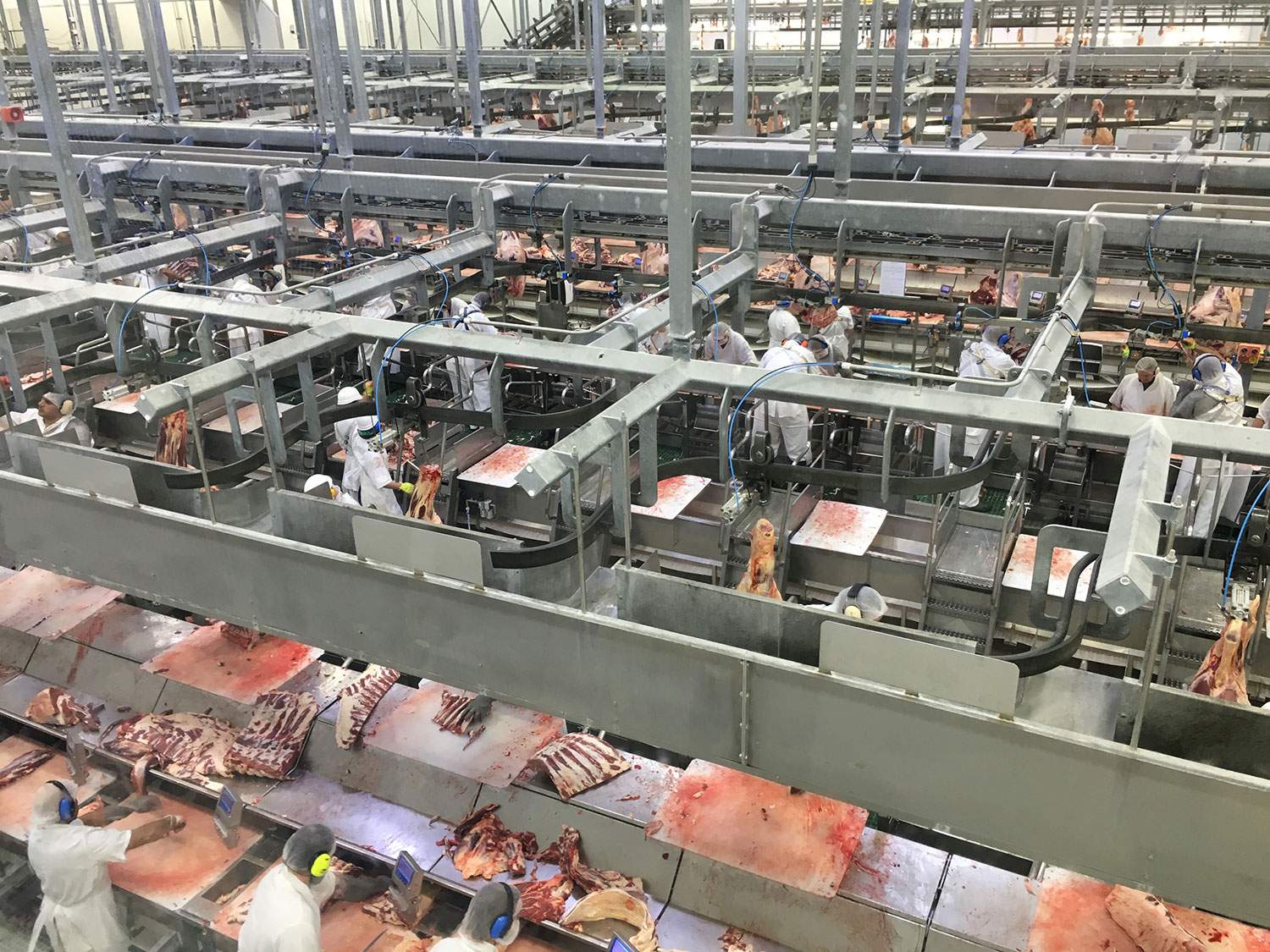 Oakey Meatworks using processed wastewater to power own biogas plant ...