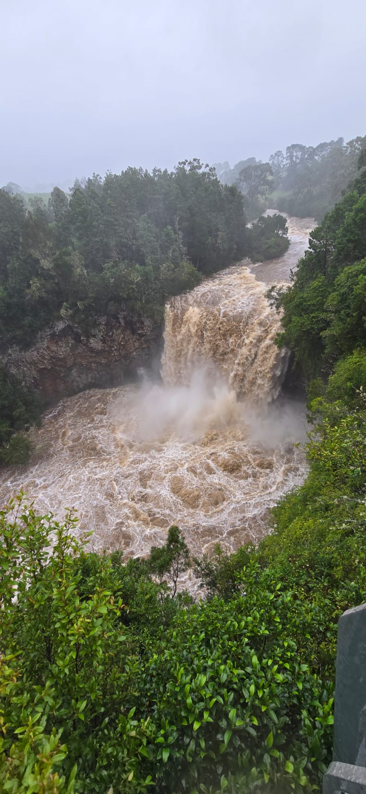 Dangar Falls flowed rapidly after rainfall around Dorrigo in northern ...