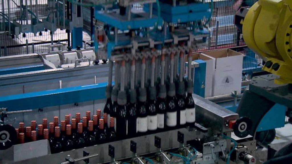 Wine Recovery: Winemakers look forward to 2021 harvest - ABC News