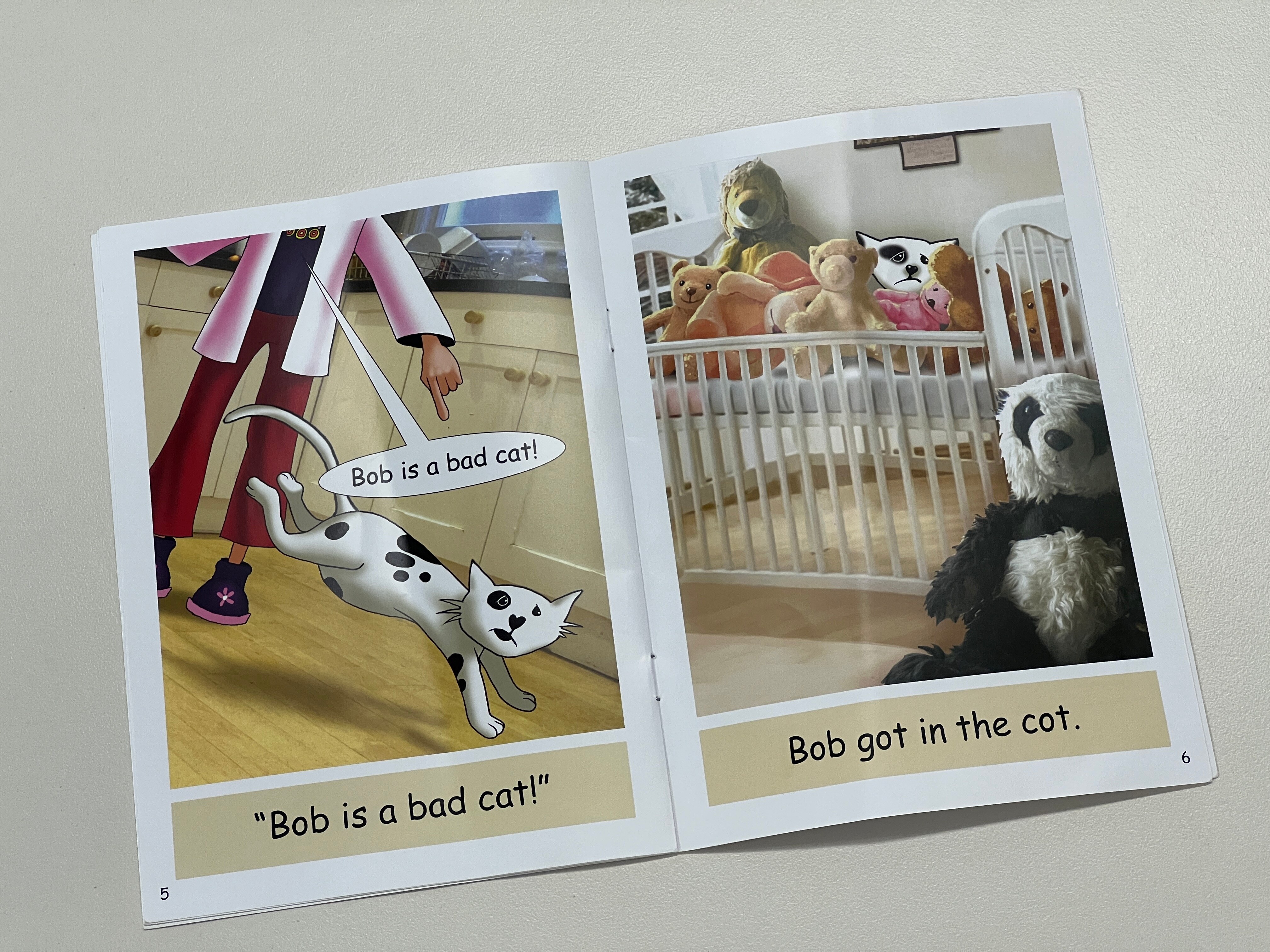 A reading revolution is underway in many Australian schools but classes ...