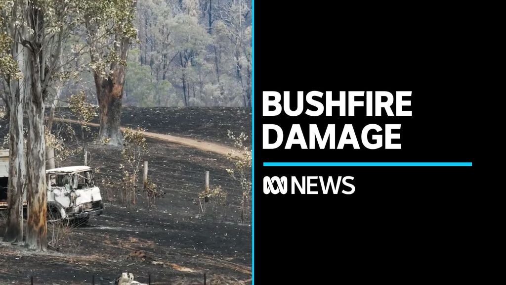 Residents assess bushfire damage as northern NSW faces emergency - ABC News