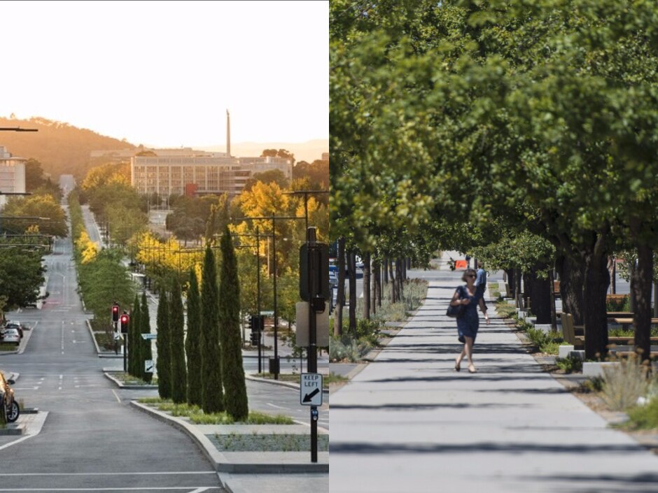 Canberra's Constitution Avenue wins top prize at architecture awards ...