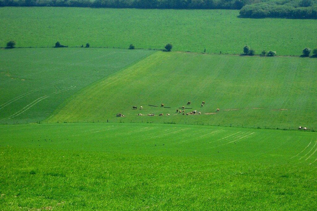 UK facing two million hectare land shortage - ABC News