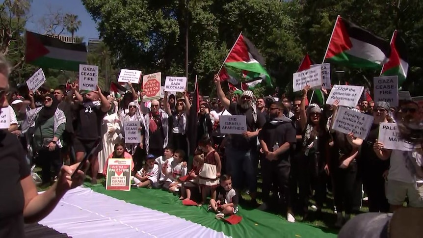 Sydney demonstrators passionately chant for Palestine - ABC News Sydney demonstrators passionately chant for Palestine - ABC News