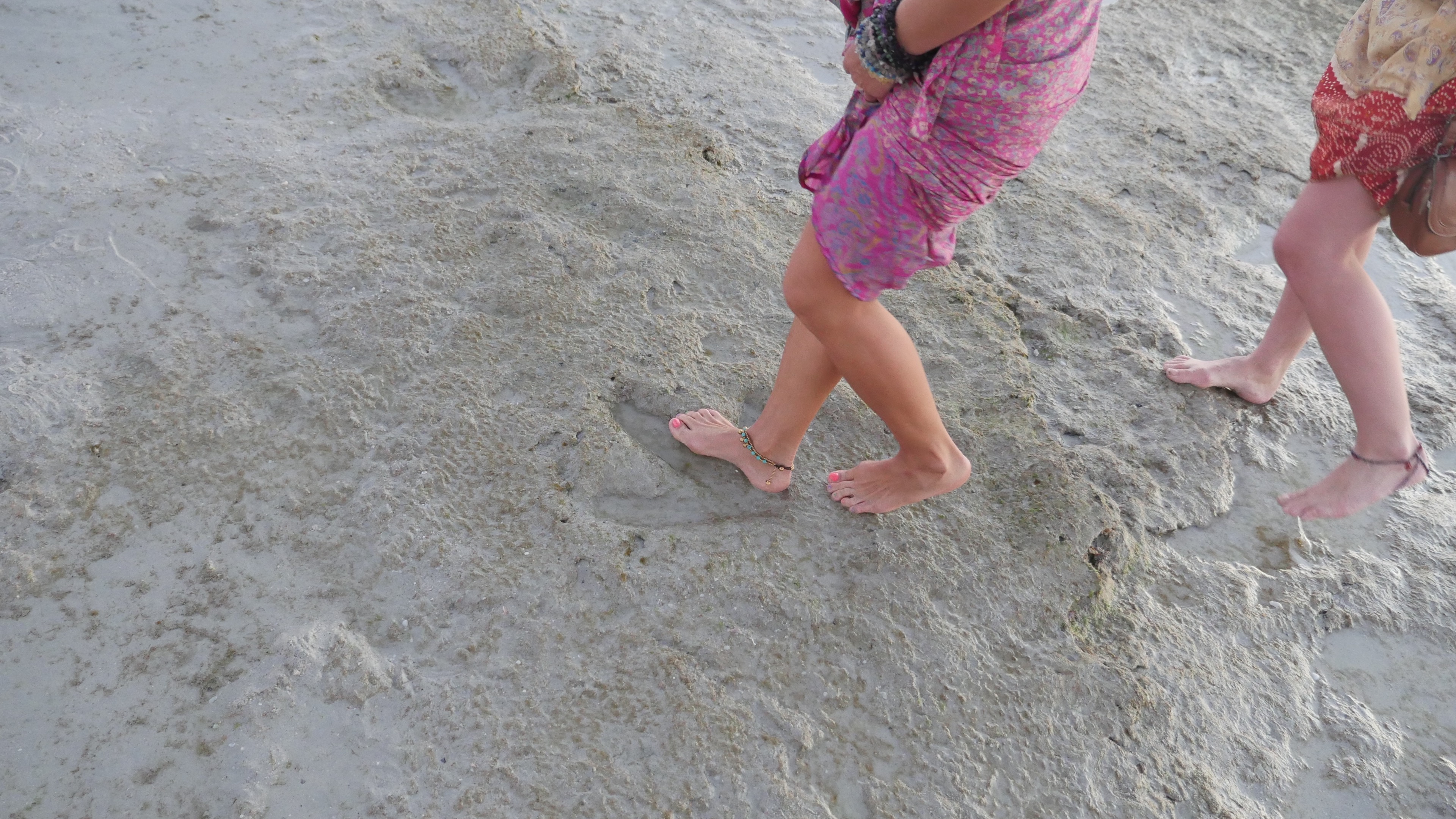 Dinosaur footprint plan to protect and manage historic Broome tracks ...
