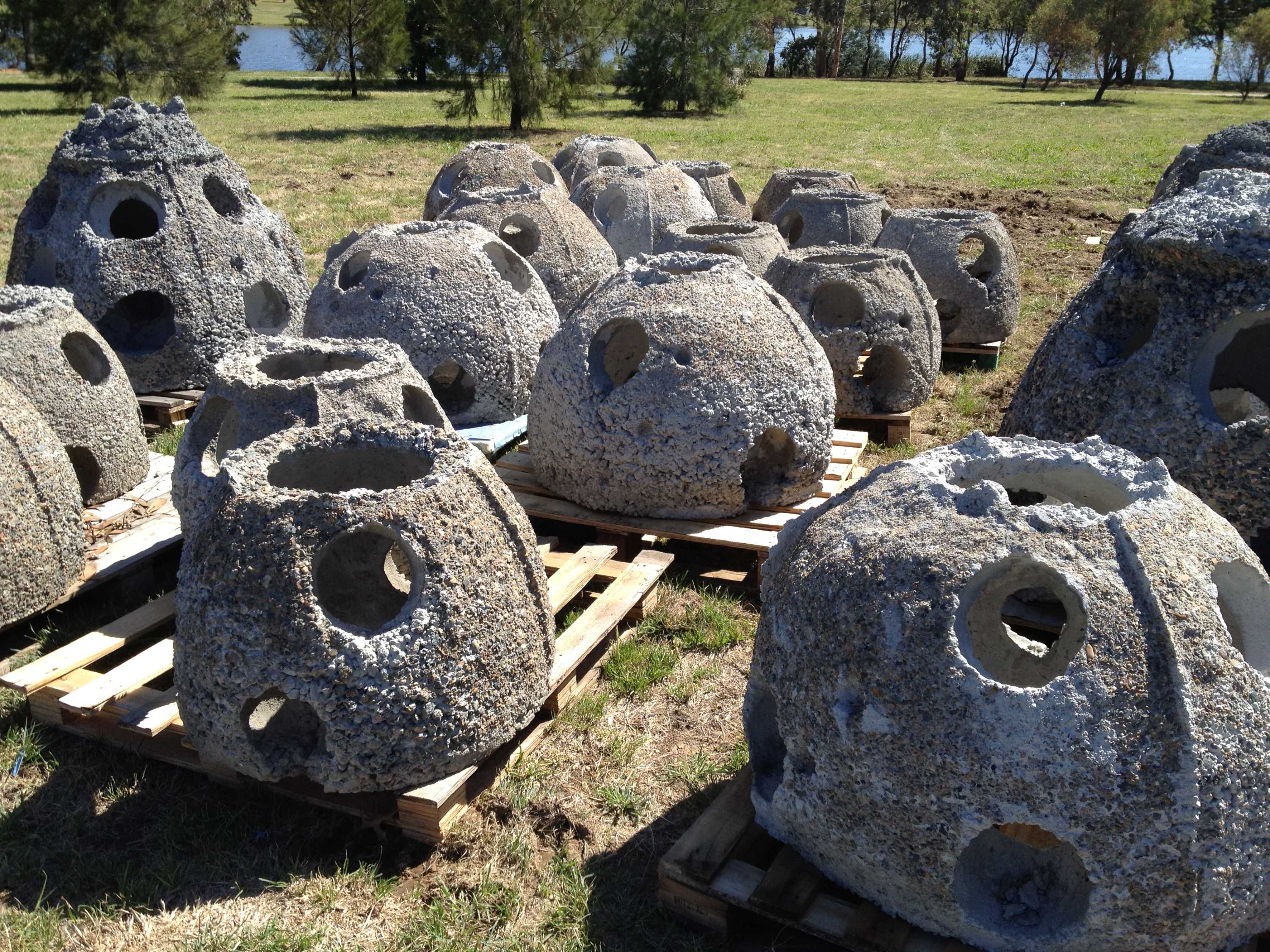 Rest in Reef: Plan to add locals' cremated ashes to concrete reef balls ...