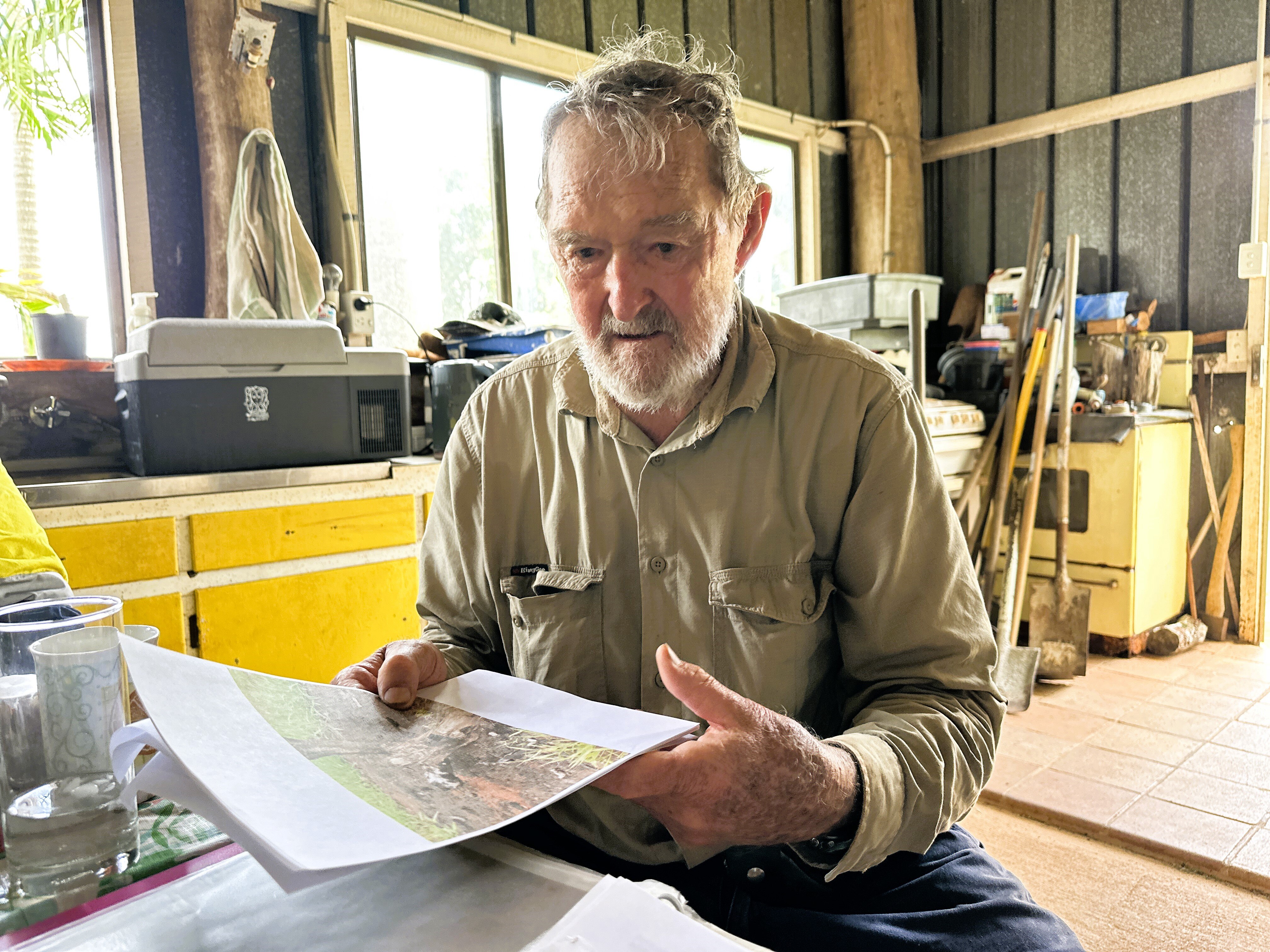 Central Queensland farmers prepare for fruitful season after fighting ...