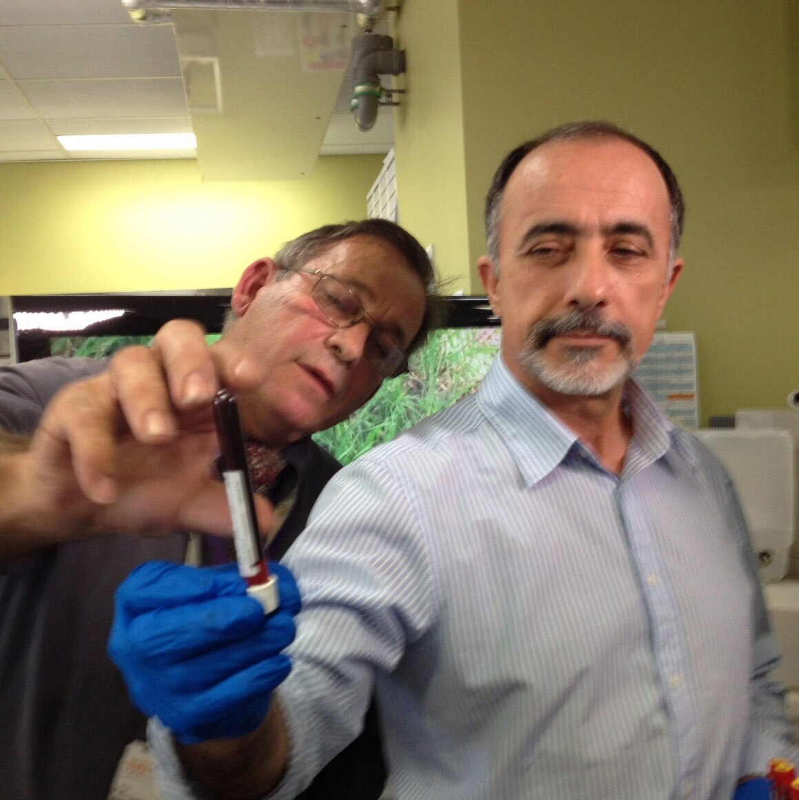 Researchers use snake venom to speed up patients' blood tests - ABC News