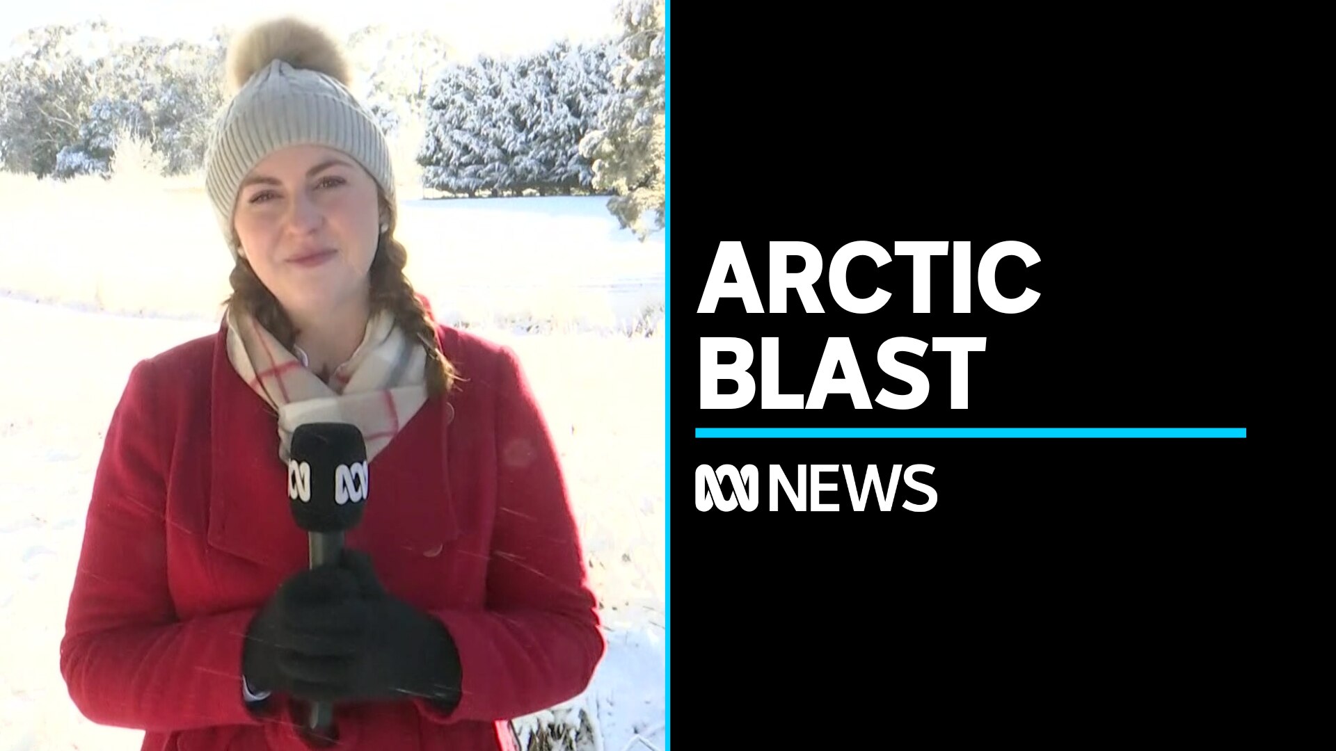 Central NSW transformed into a 'Winter Wonderland' - ABC News