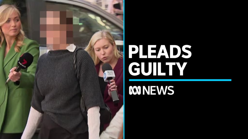 William Tyrrell's foster mother pleads guilty to child assault - ABC News