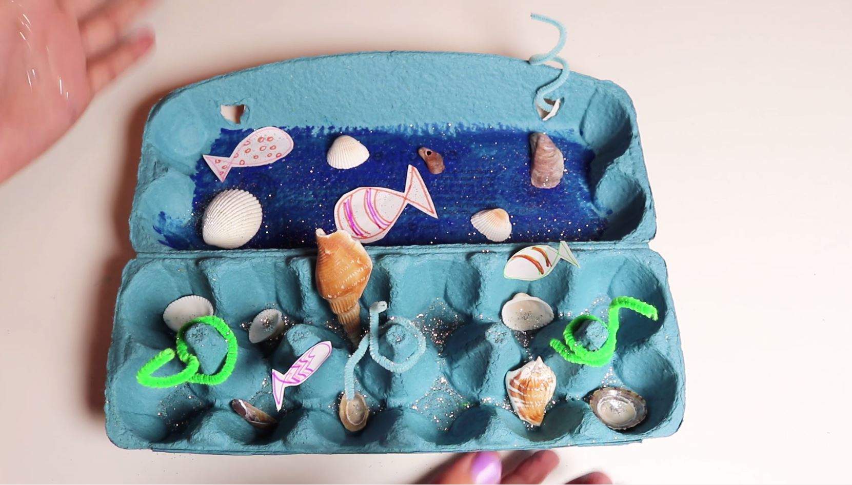 Ocean in an egg carton - ABC Kids listen