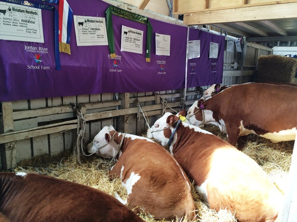 Tasmanian Country Hour - ABC listen