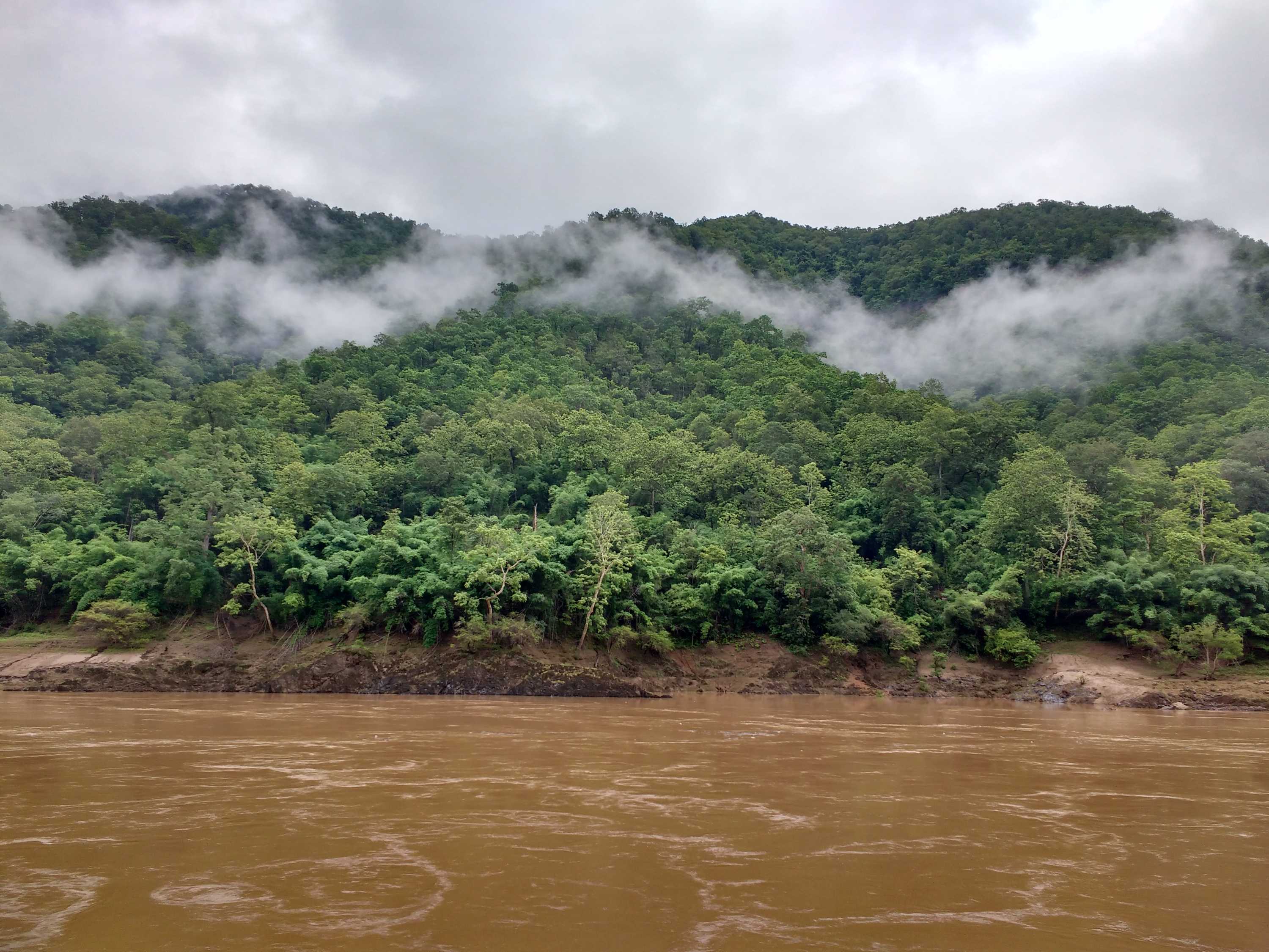 The Silent Forest: A 'peace park' in Myanmar - ABC listen