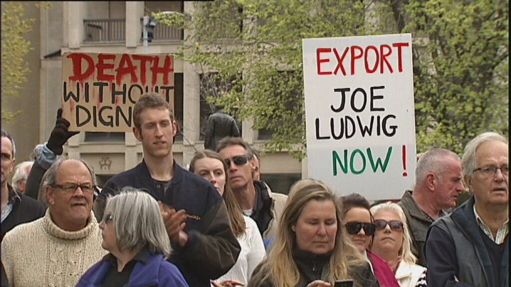 Rallies call for live export ban - ABC News