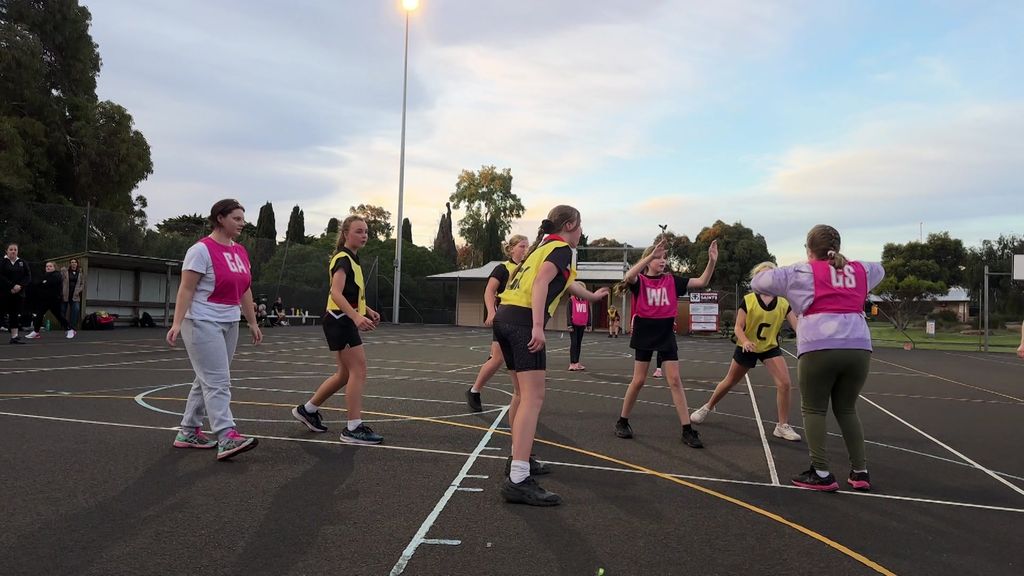 Kingston South East all-abilities netball - ABC News