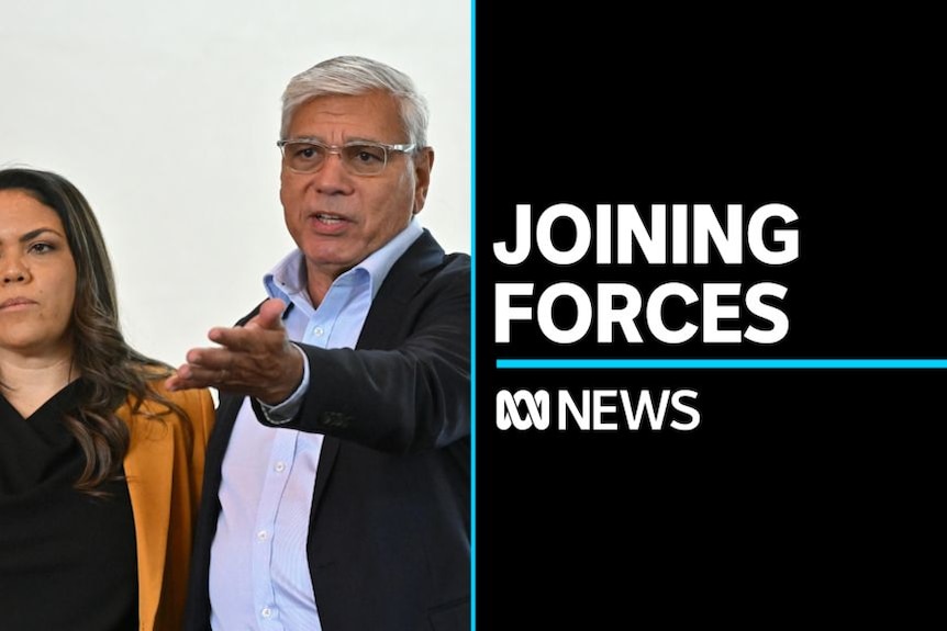 Vision shows armed officers in riot gear arresting detainees on Banksia ... Vision shows armed officers in riot gear arresting detainees on Banksia ...