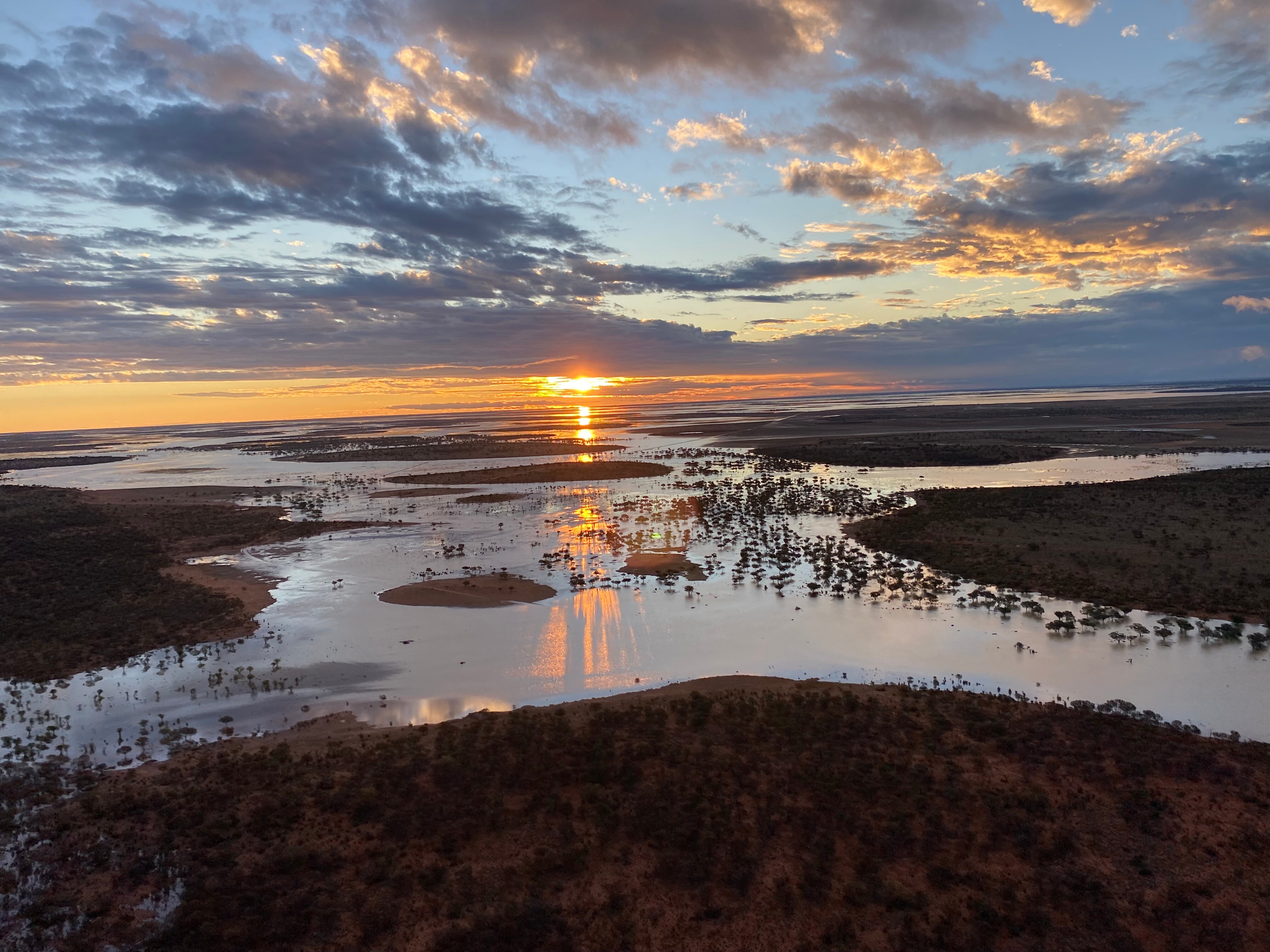 Outback flood tops 1974 levels, as residents evacuate amid major stock ...