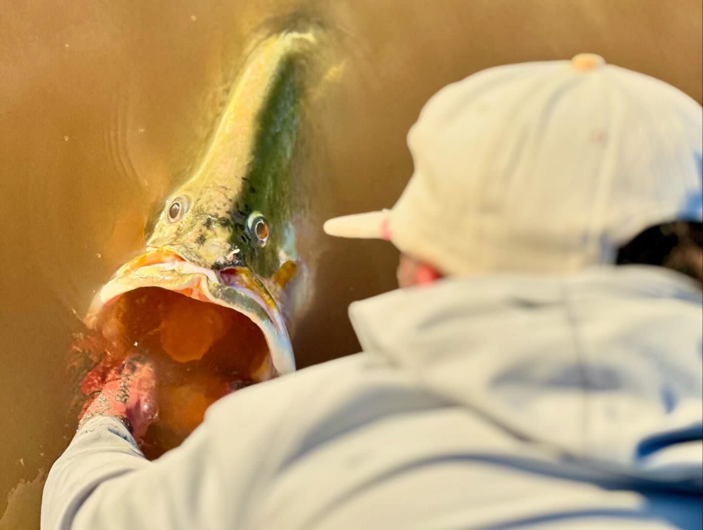 Best anglers in the business go looking for monster barramundi in ...