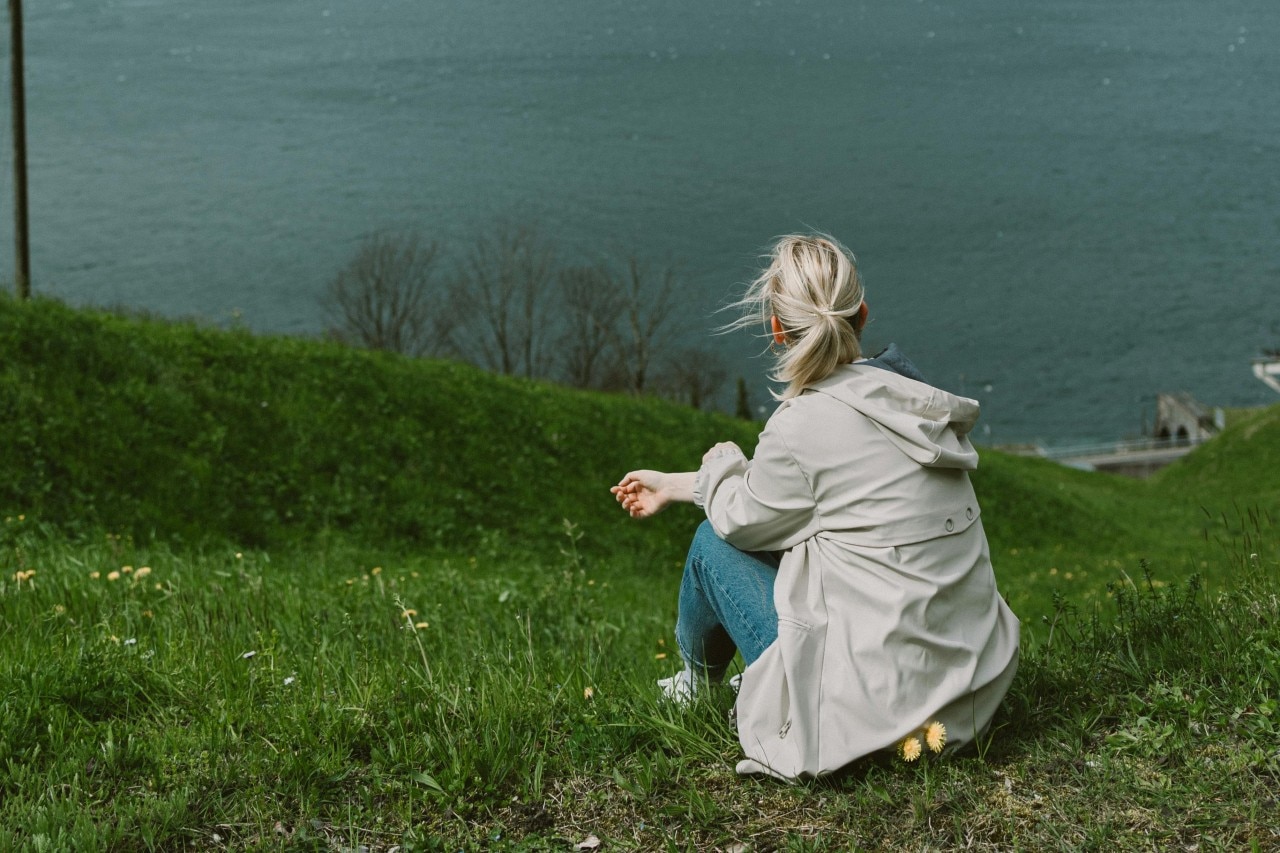 Pilot of downed F-35 stealth fighter jet parachuted into residential ...