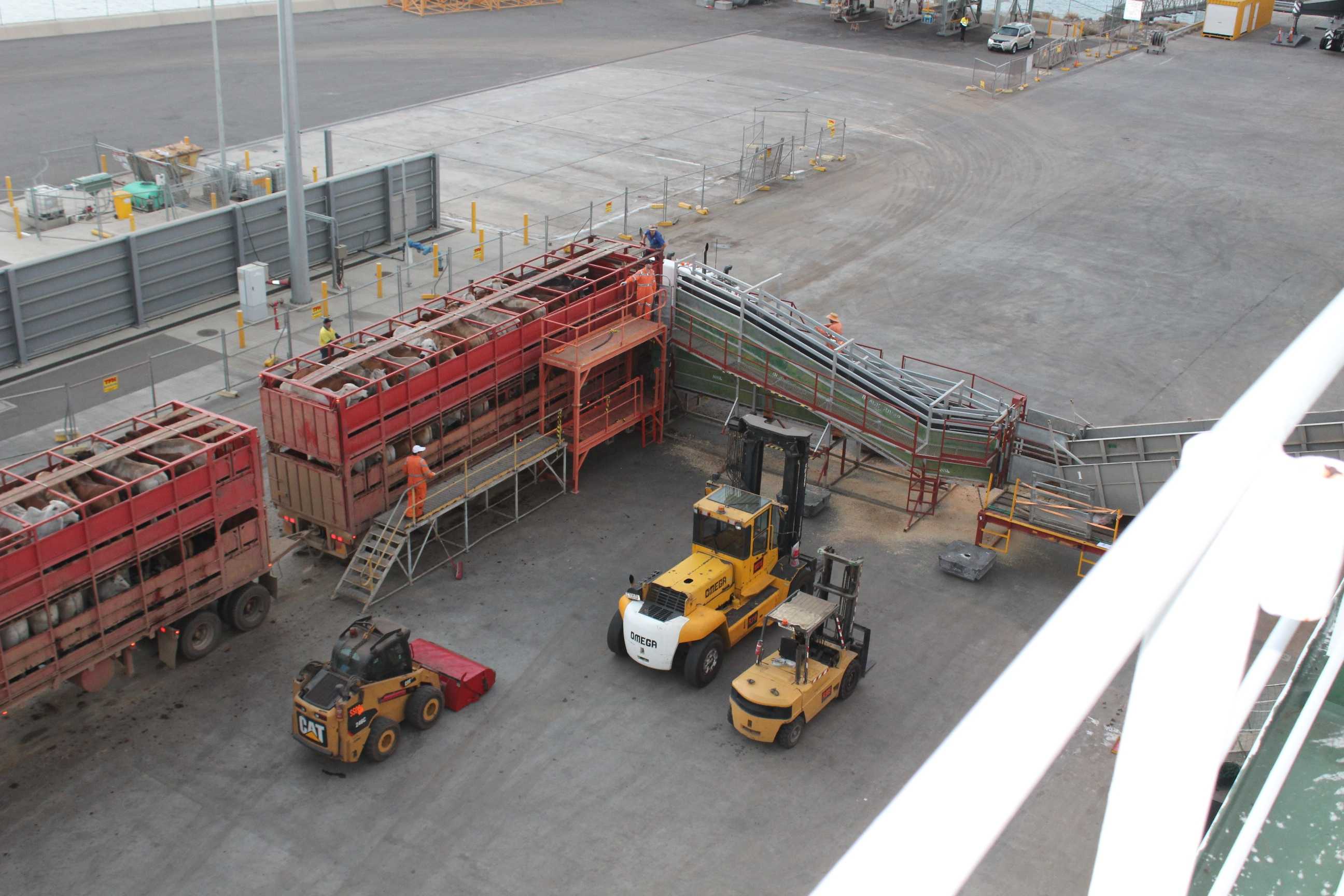 Competition between Indonesian importers and Australian processors ...