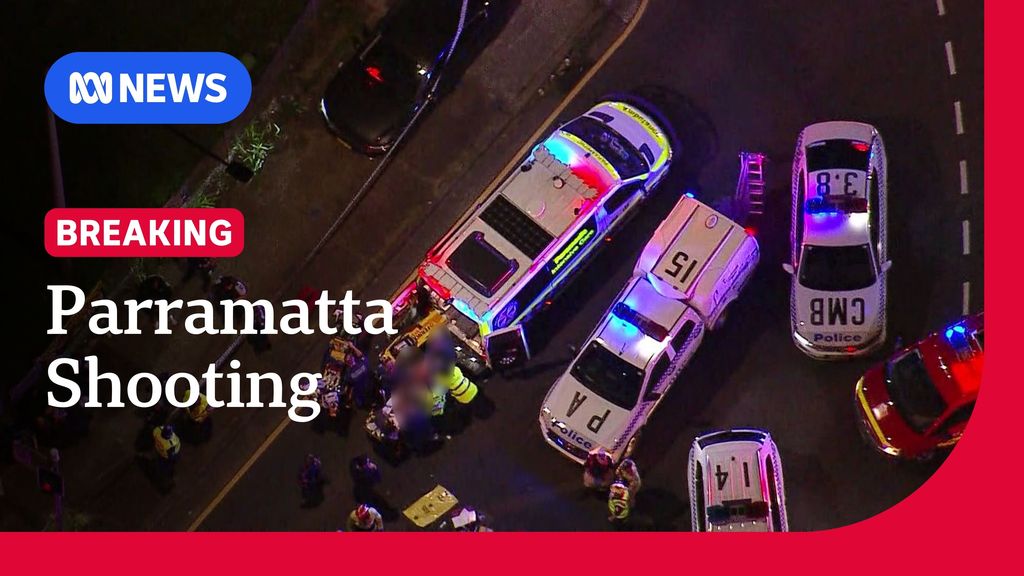 Jewish Council of Australia critical of Israel's actions in Gaza - ABC News